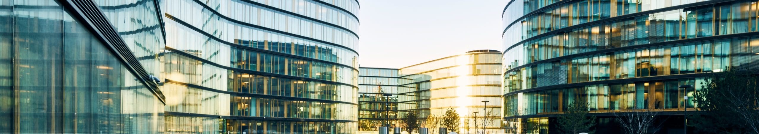 Erste Asset Management achieves record result in 2021 - Erste Asset ...