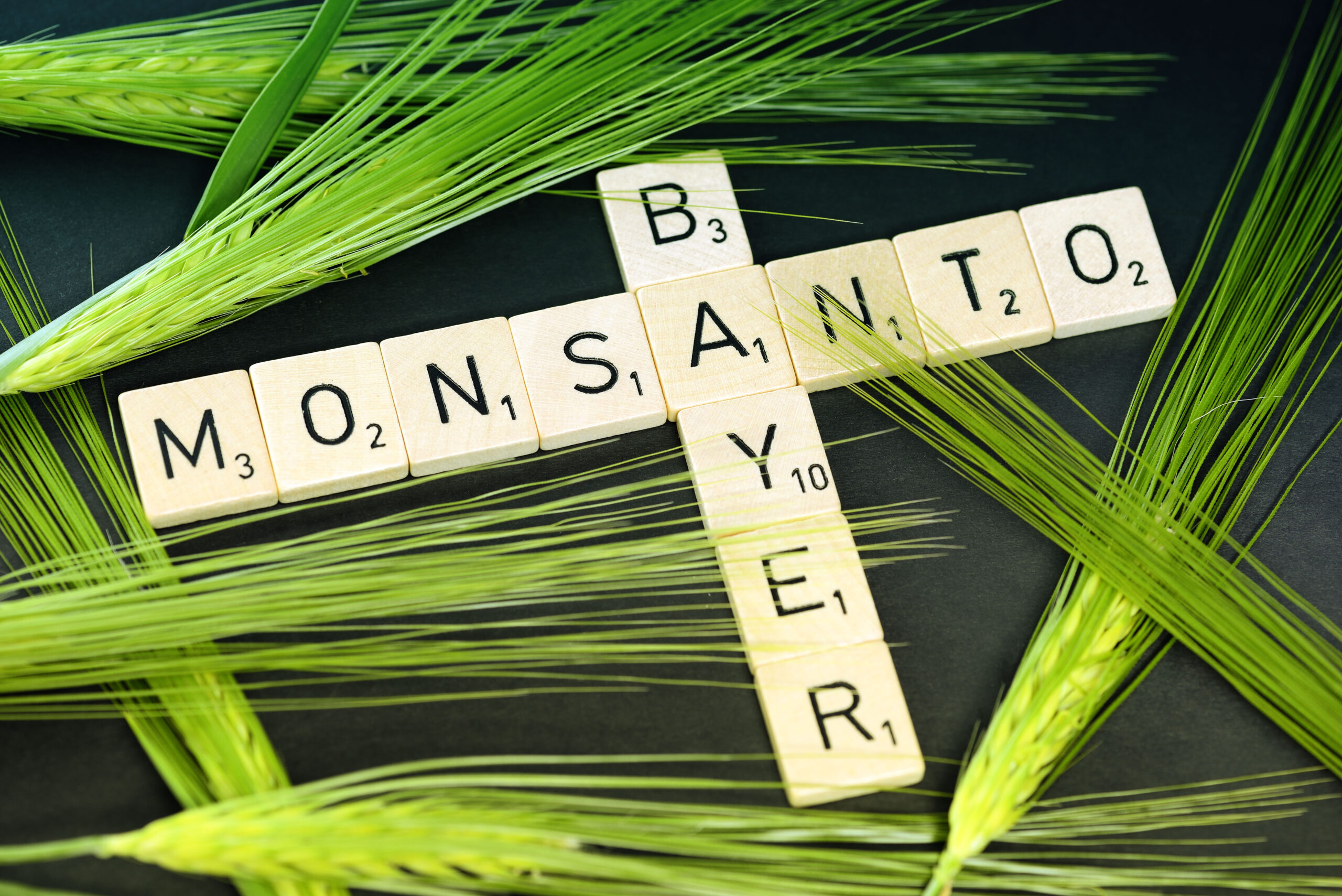 A Tale of Two Companies: Bayer’s Biodiversity Conundrum with Monsanto