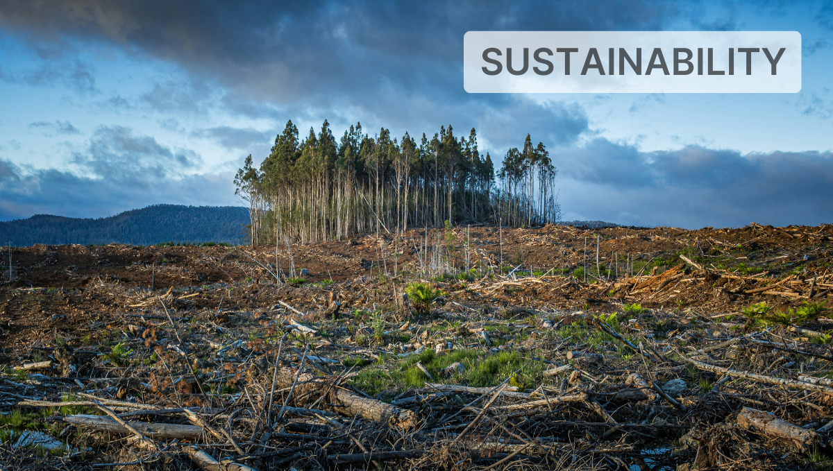 Interview: Minimizing climate risks effectively - Erste Asset ...